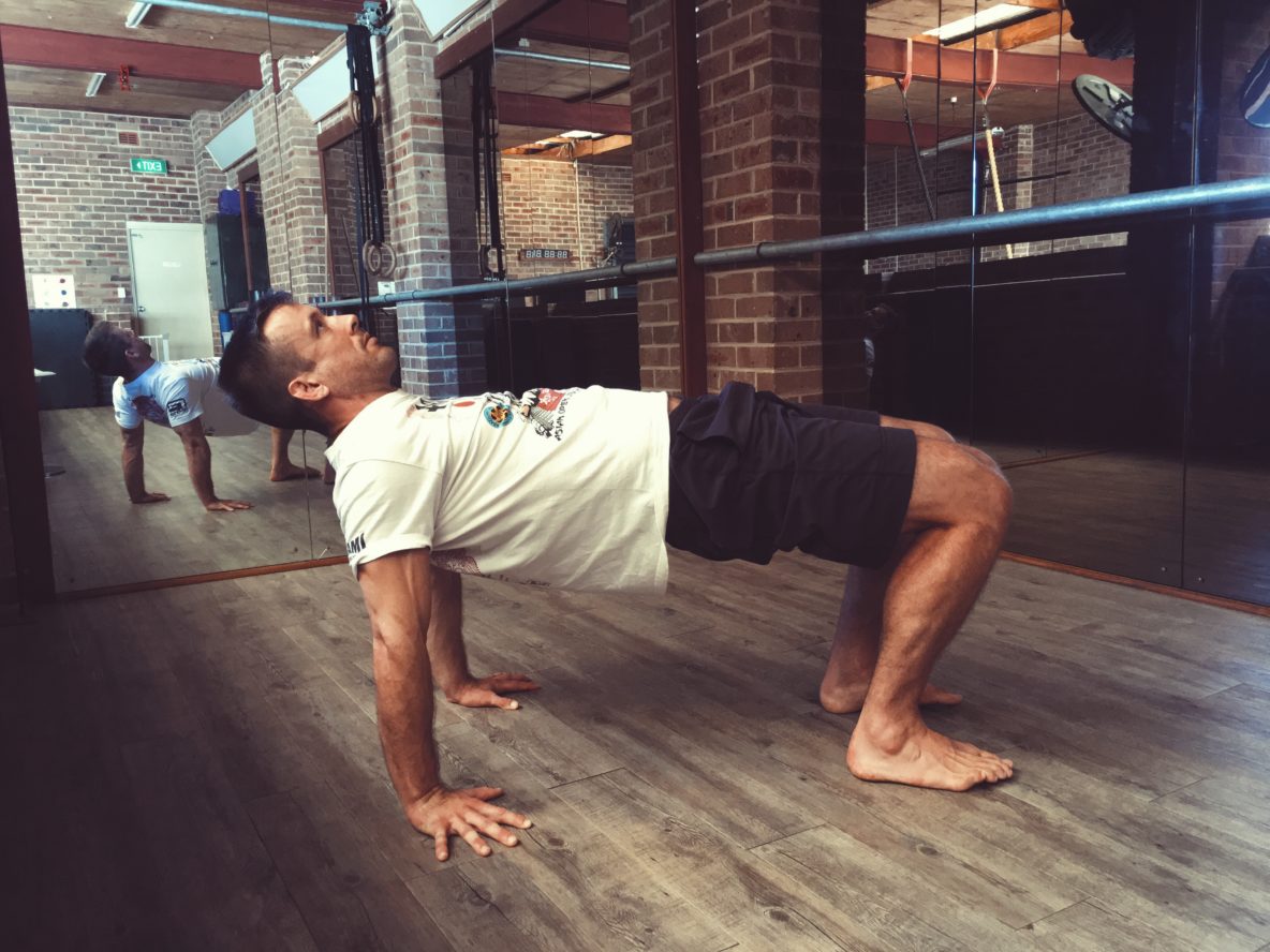 3 Essential Stretches For Tight Jiu Jitsu Players - Jungle Botany