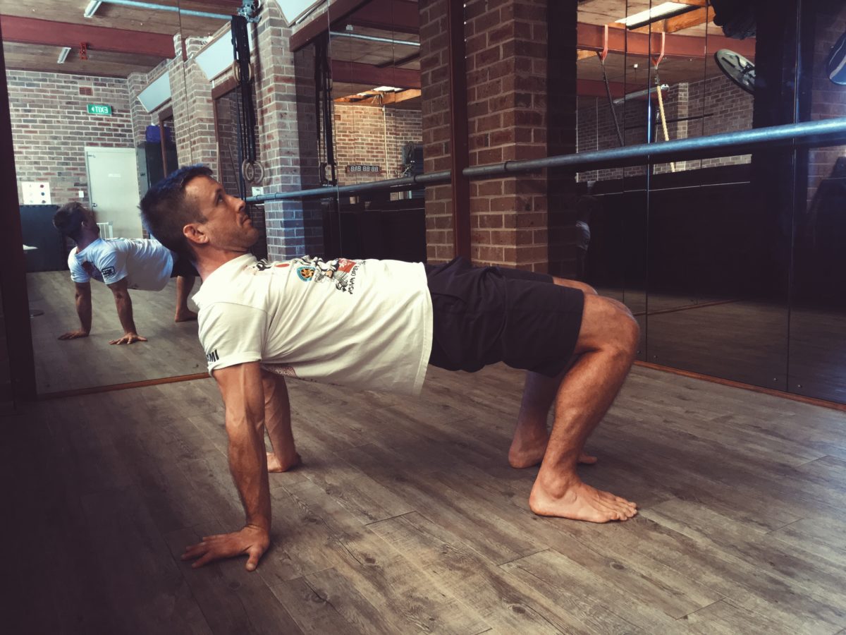 3 Essential Stretches For Tight Jiu Jitsu Players - Jungle Botany