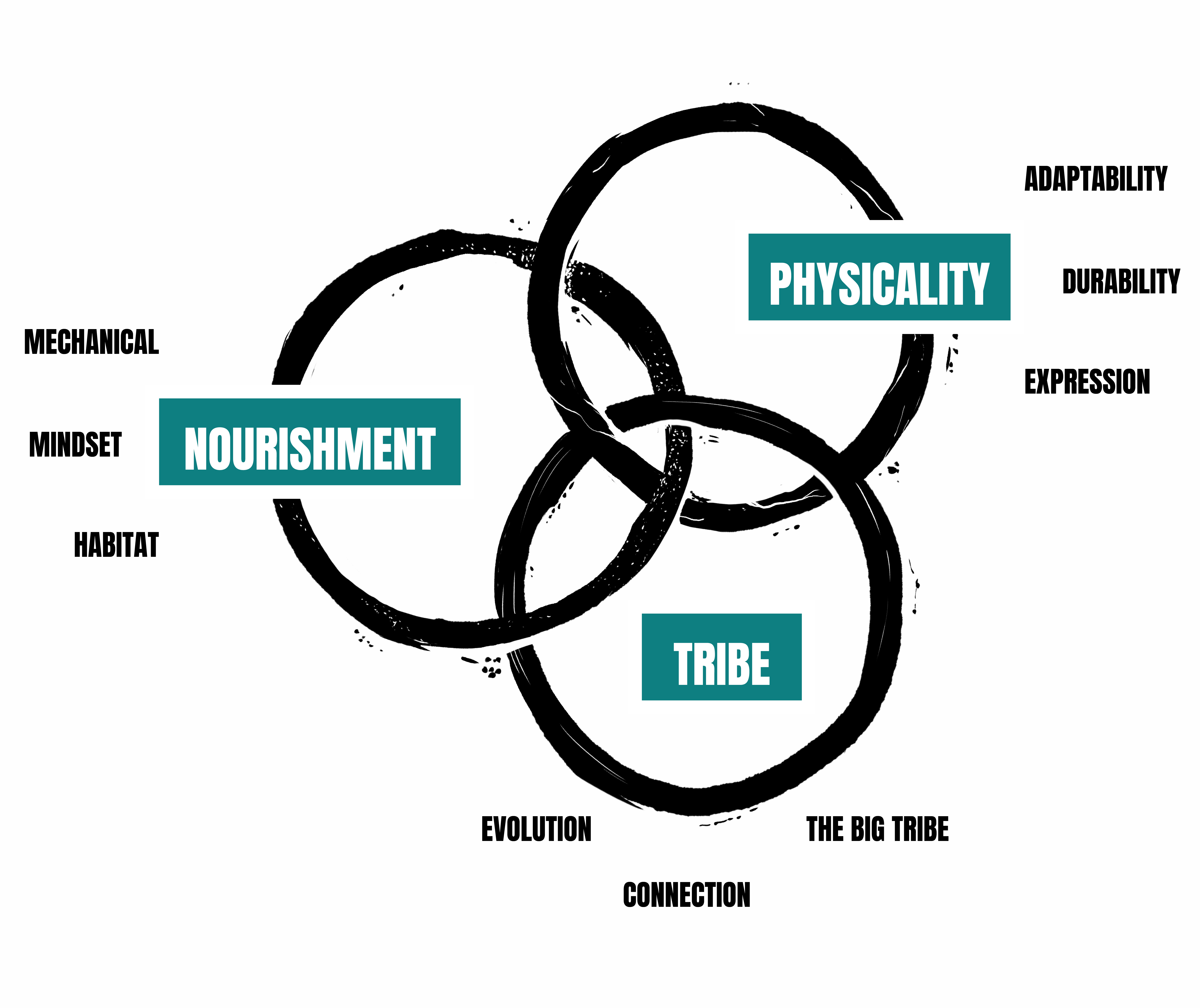 What We Actually Do (It’s More Than You Think…) - Jungle Botany